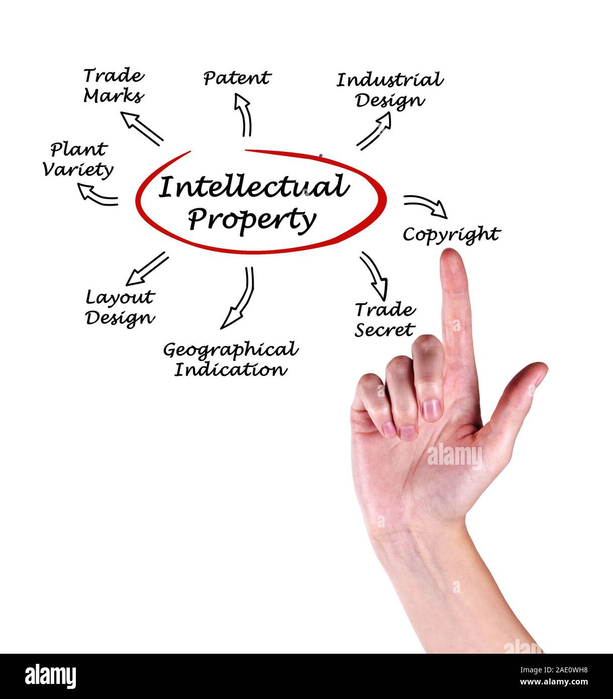 Property layout Cut Out Stock Images & Pictures - Alamy