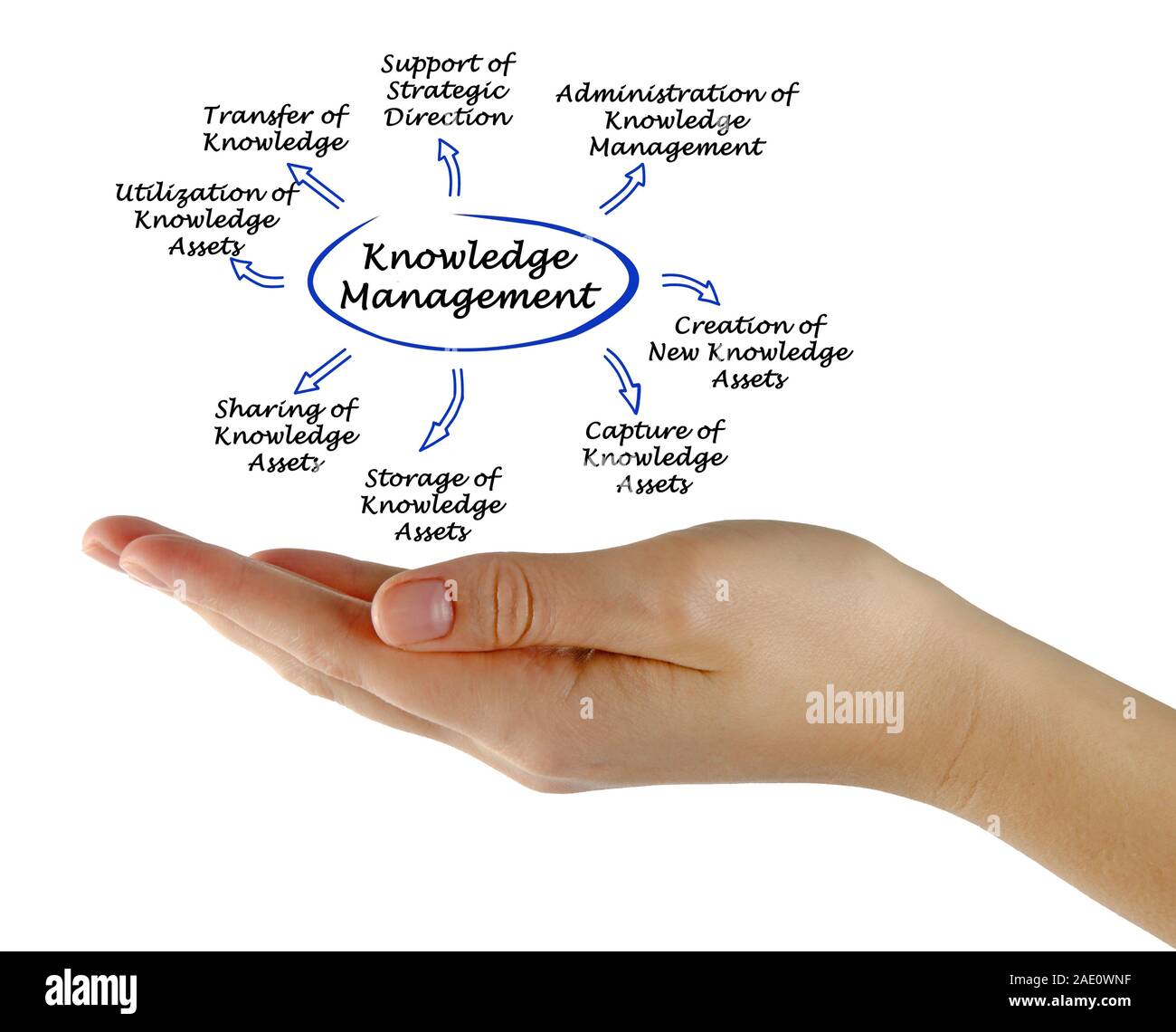 diagram of Knowledge Management Stock Photo - Alamy