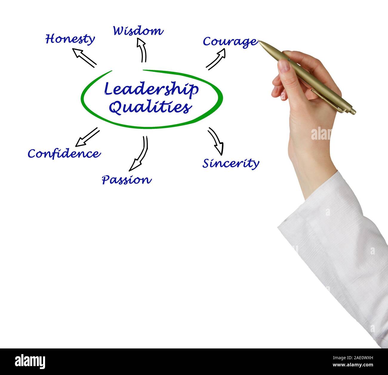 Diagram of leadership qualities Stock Photo - Alamy