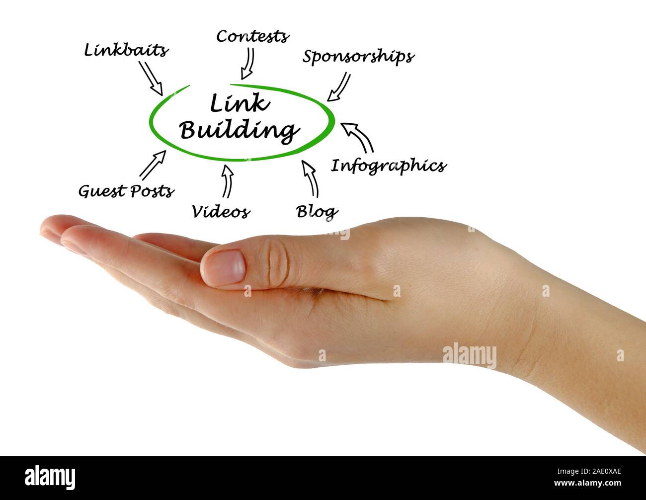 Diagram of link building Stock Photo - Alamy
