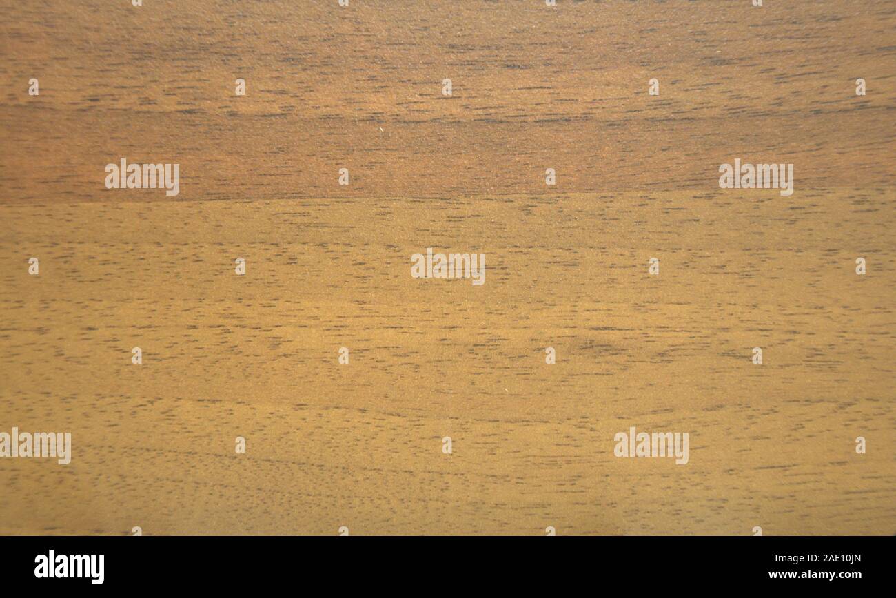 Dark beech, texture of natural pattern of sawn wood closeup. Background ...