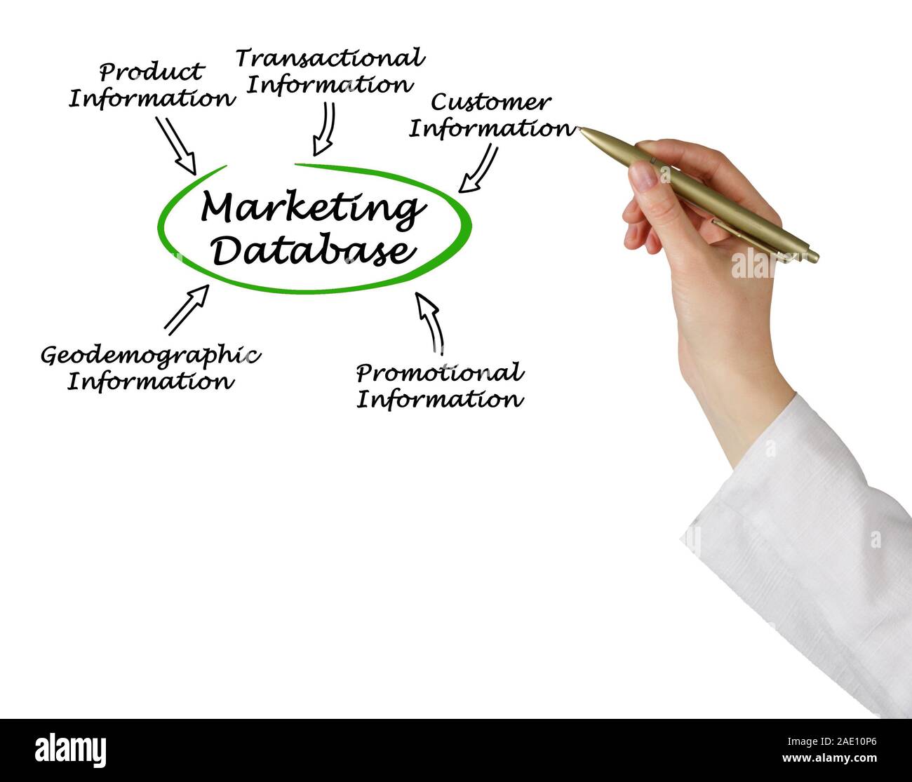 Diagram of Marketing Database Stock Photo - Alamy
