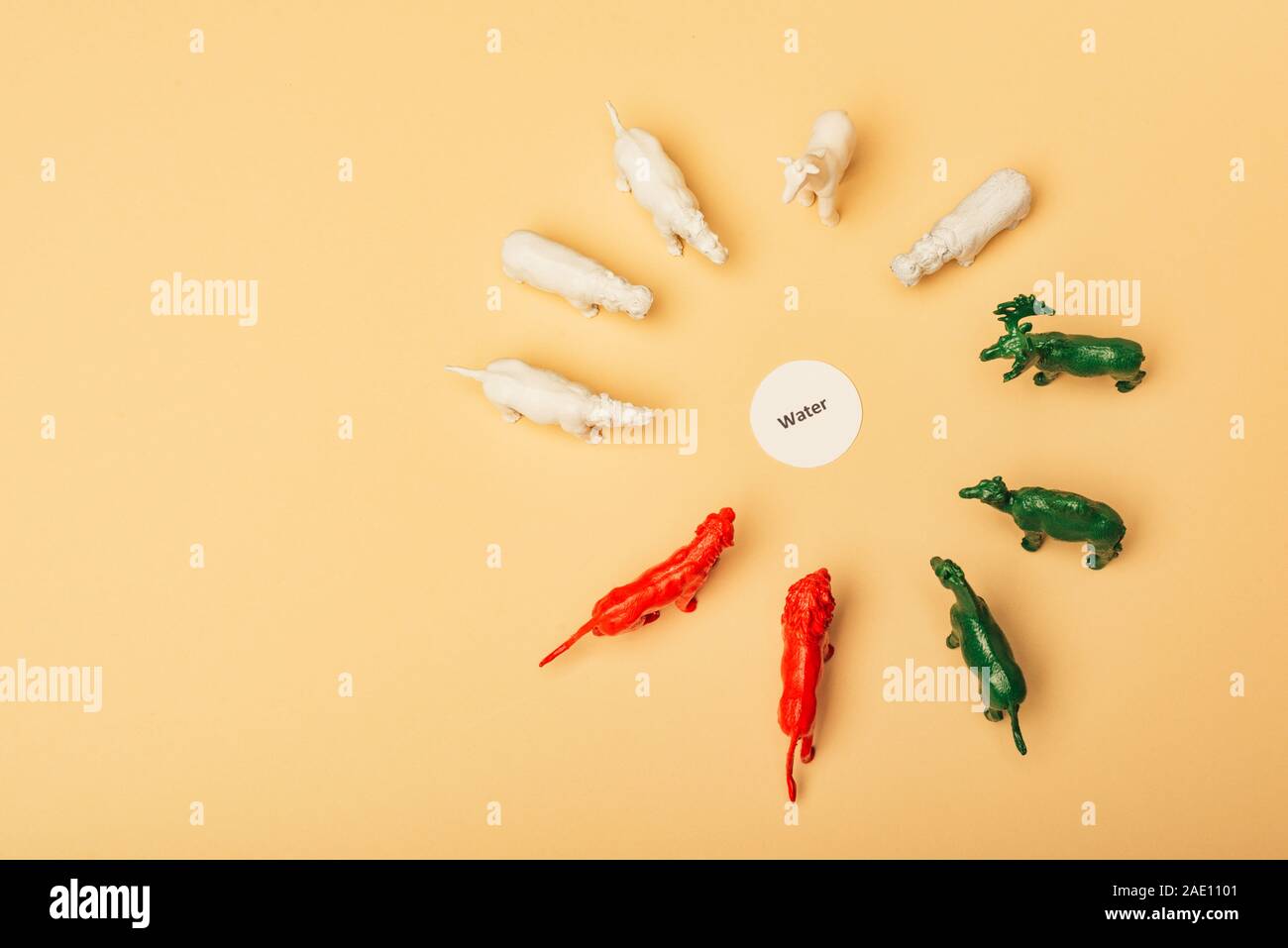 Top view of toy animals with lettering water on card on yellow ...