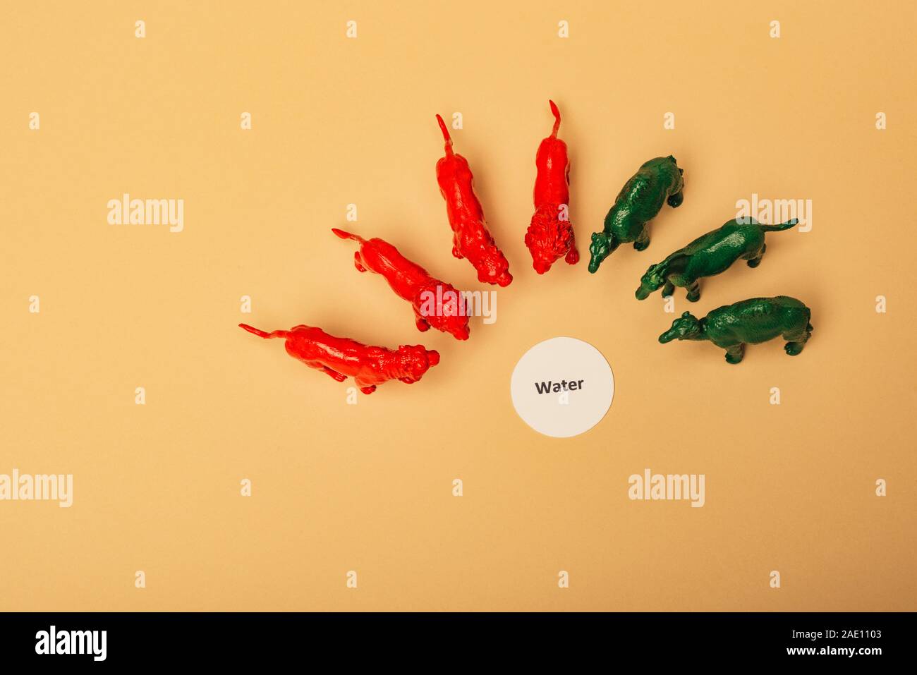 Top view of toy animals with lettering water on card on yellow ...