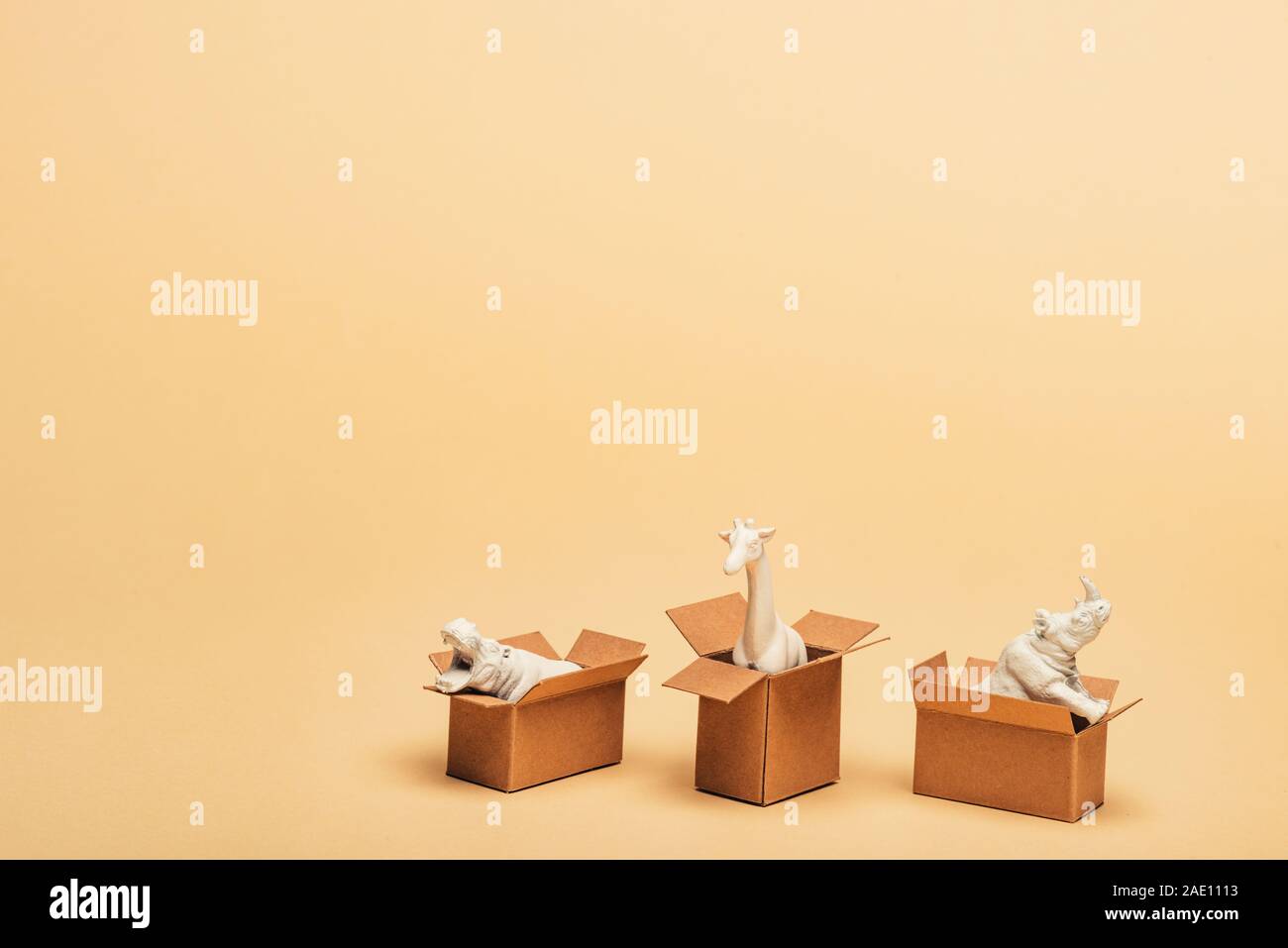 White toy hippopotamus, rhinoceros and giraffe in cardboard boxes on ...