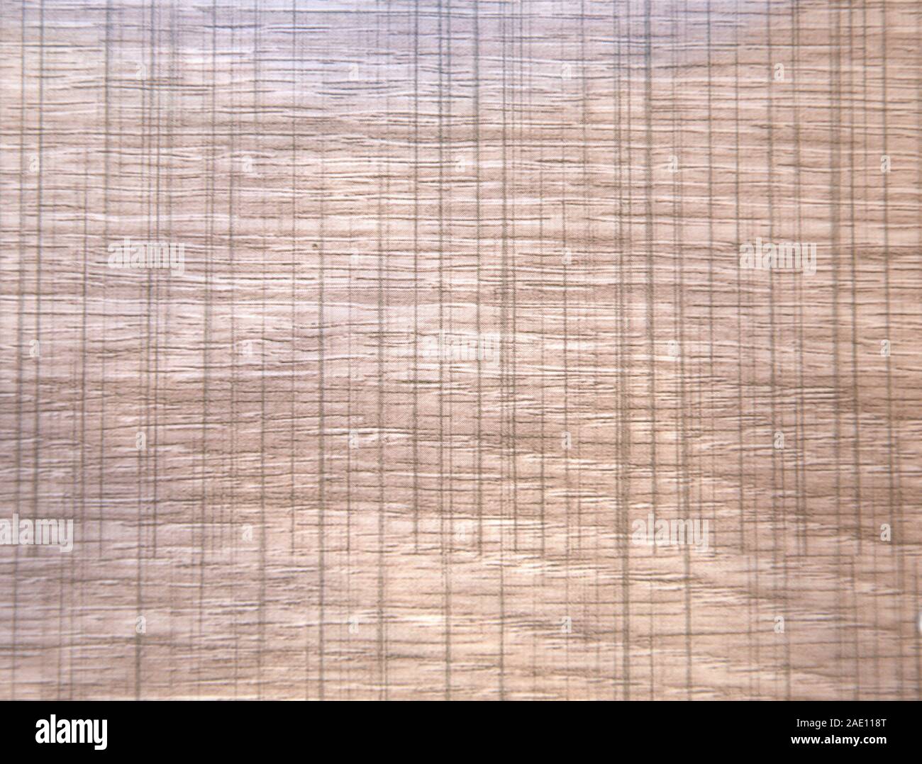 Bleached oak, painted with dark stain with stripes effect, texture of ...