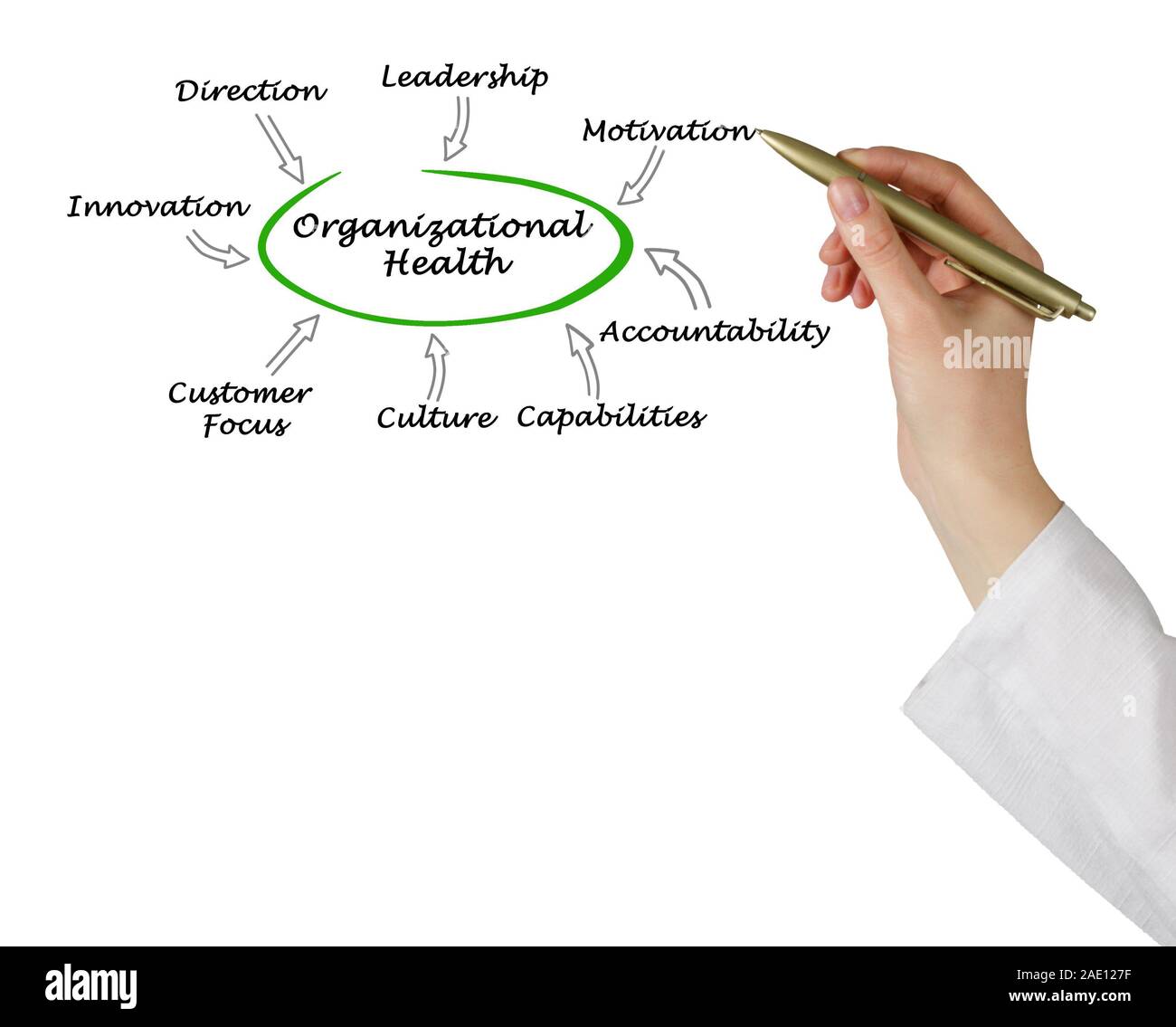 Diagram of Organizational Health Stock Photo - Alamy