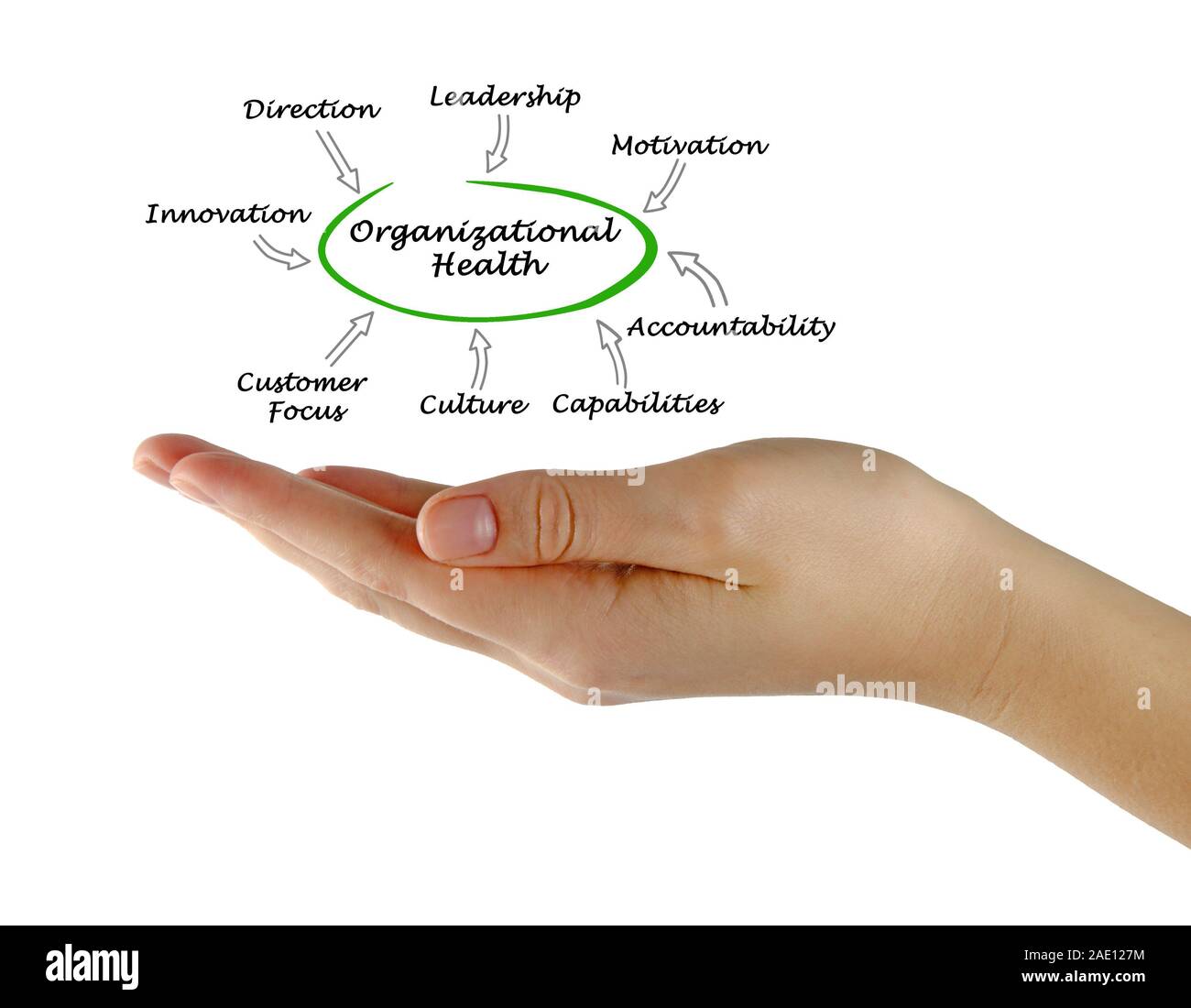 Diagram of Organizational Health Stock Photo - Alamy