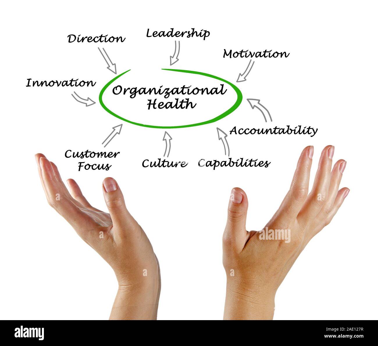 Diagram of Organizational Health Stock Photo - Alamy