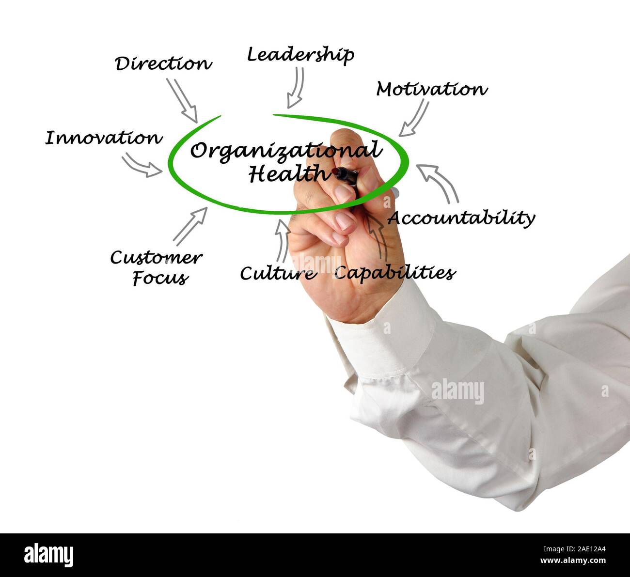 Organizational health hi-res stock photography and images - Alamy
