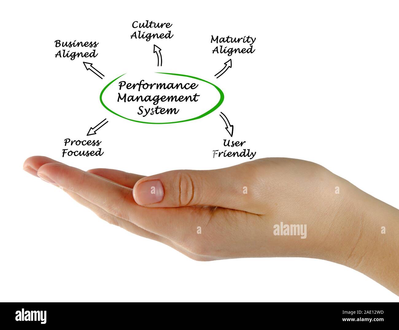 Diagram of Performance Management System Stock Photo - Alamy