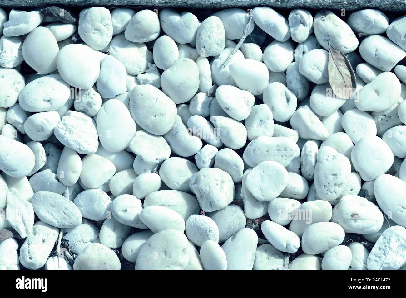 Small white pebbles texture close-up. Natural background blue color ...