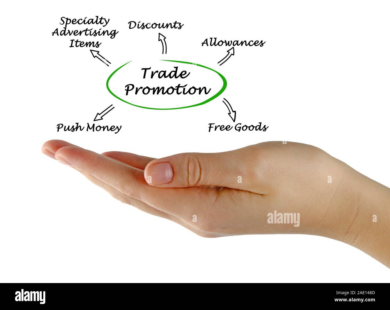 Diagram of Trade Promotion Stock Photo - Alamy