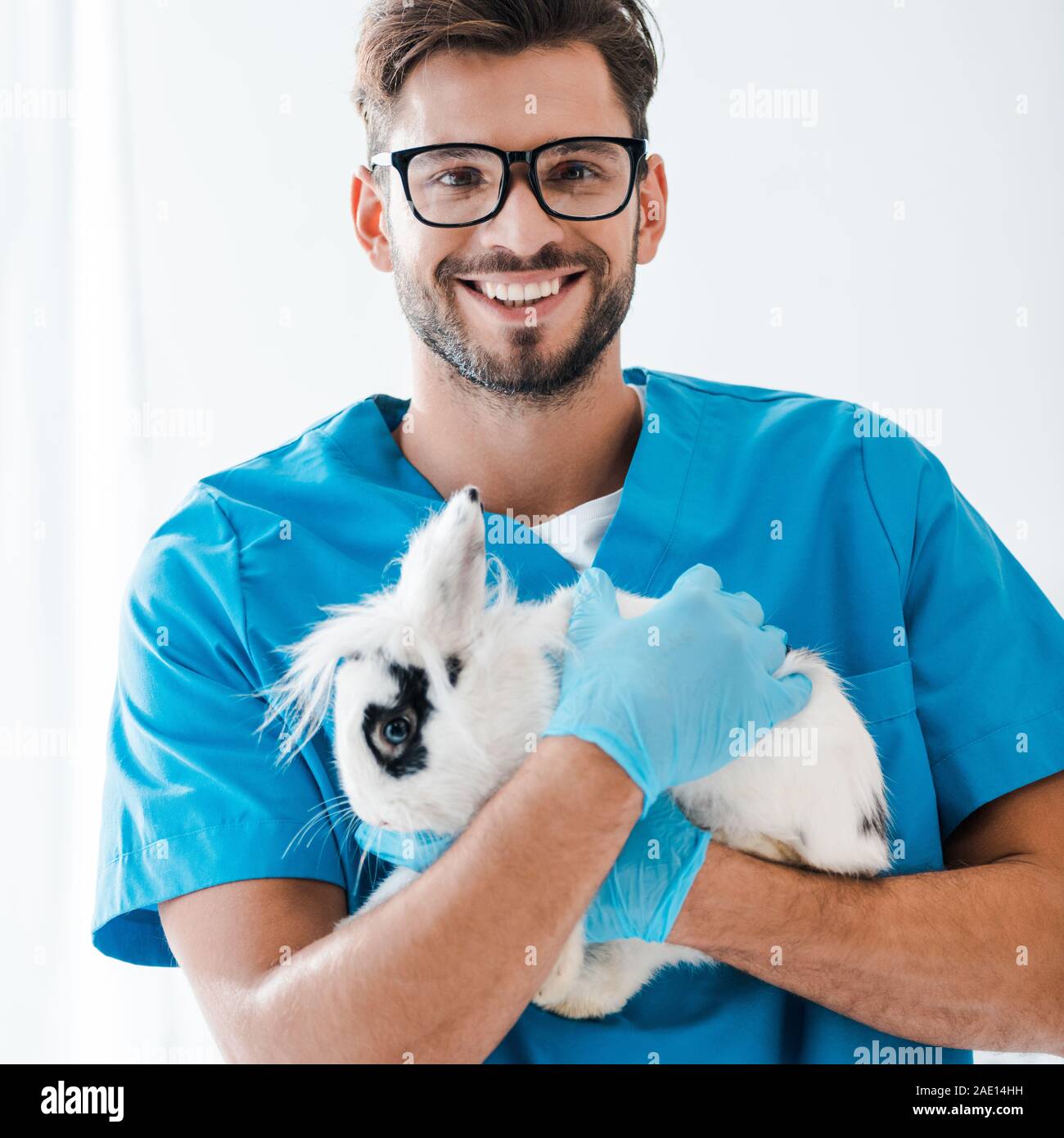 cheerful veterinarian smiling at camera while holding cute black and ...