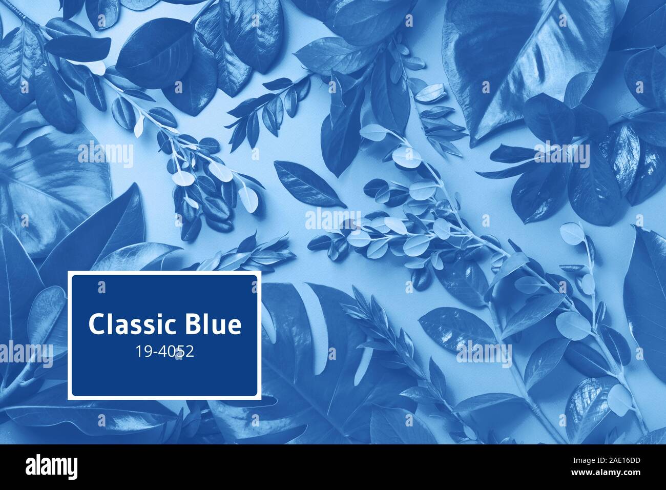 Creative layout made of tropical leaves in monochrome color. Trendy ...