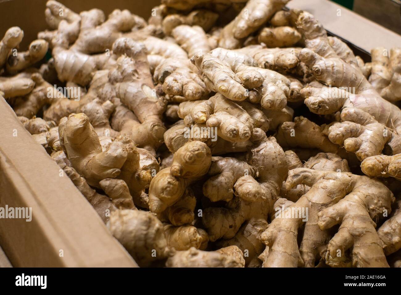 Close-up of ginger root on shelf of supermarket store. Healthy food ...