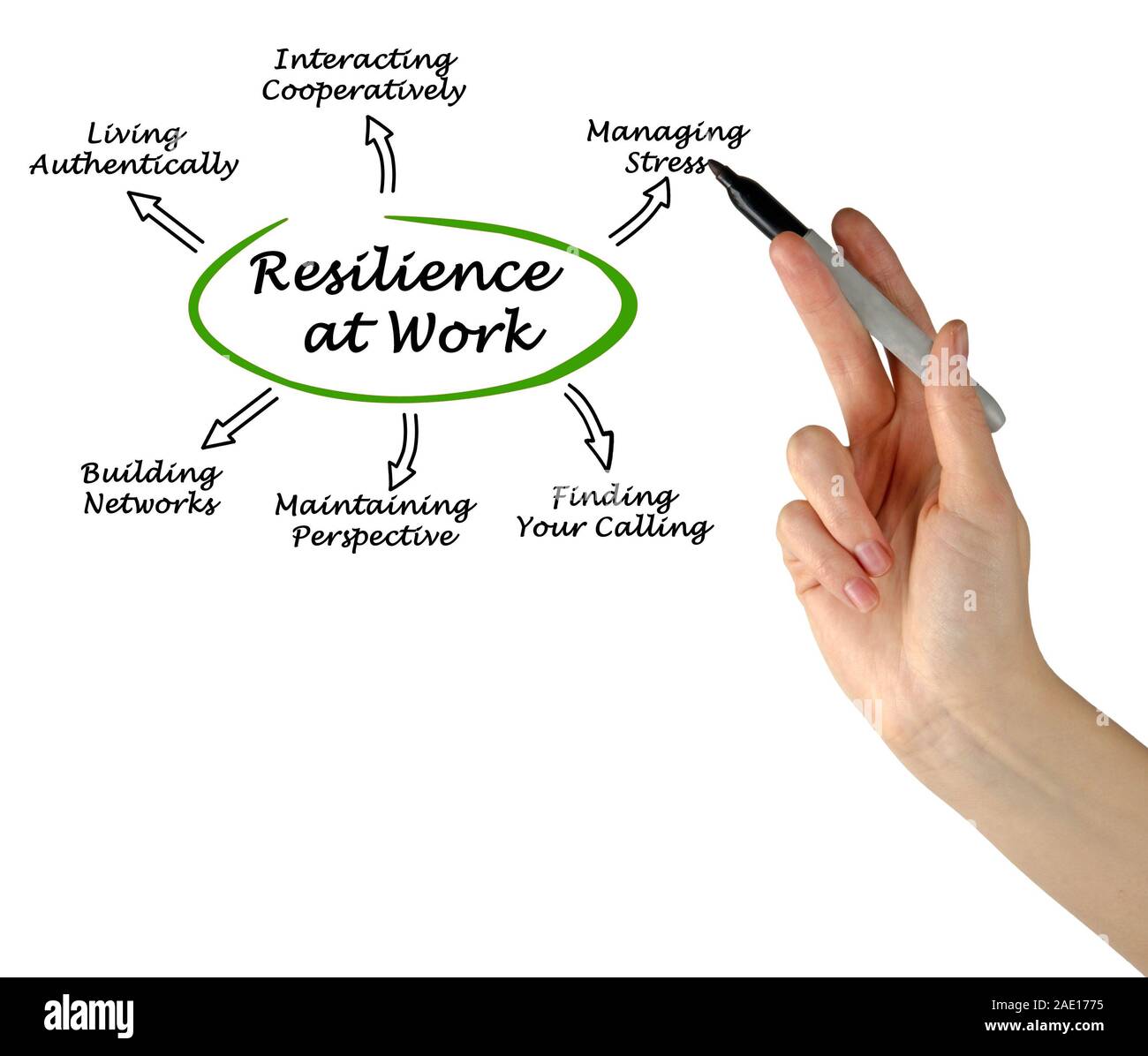 Diagram of Resilience at Work Stock Photo - Alamy