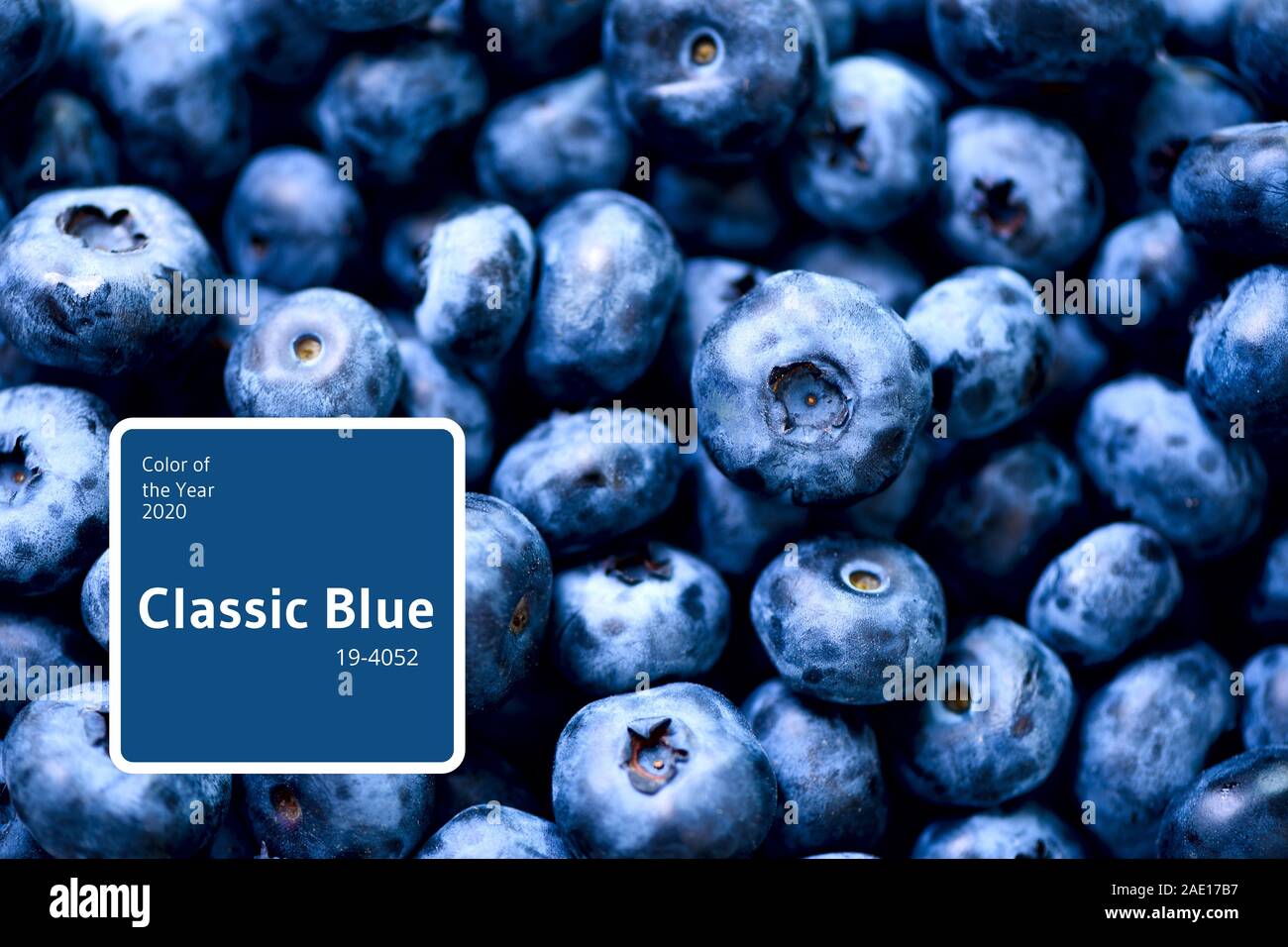 Fresh blueberries background with copy space for your text. Border ...