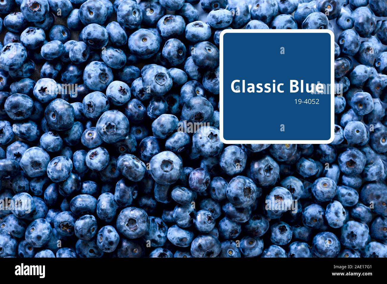 Fresh blueberries background with copy space for your text. Border ...