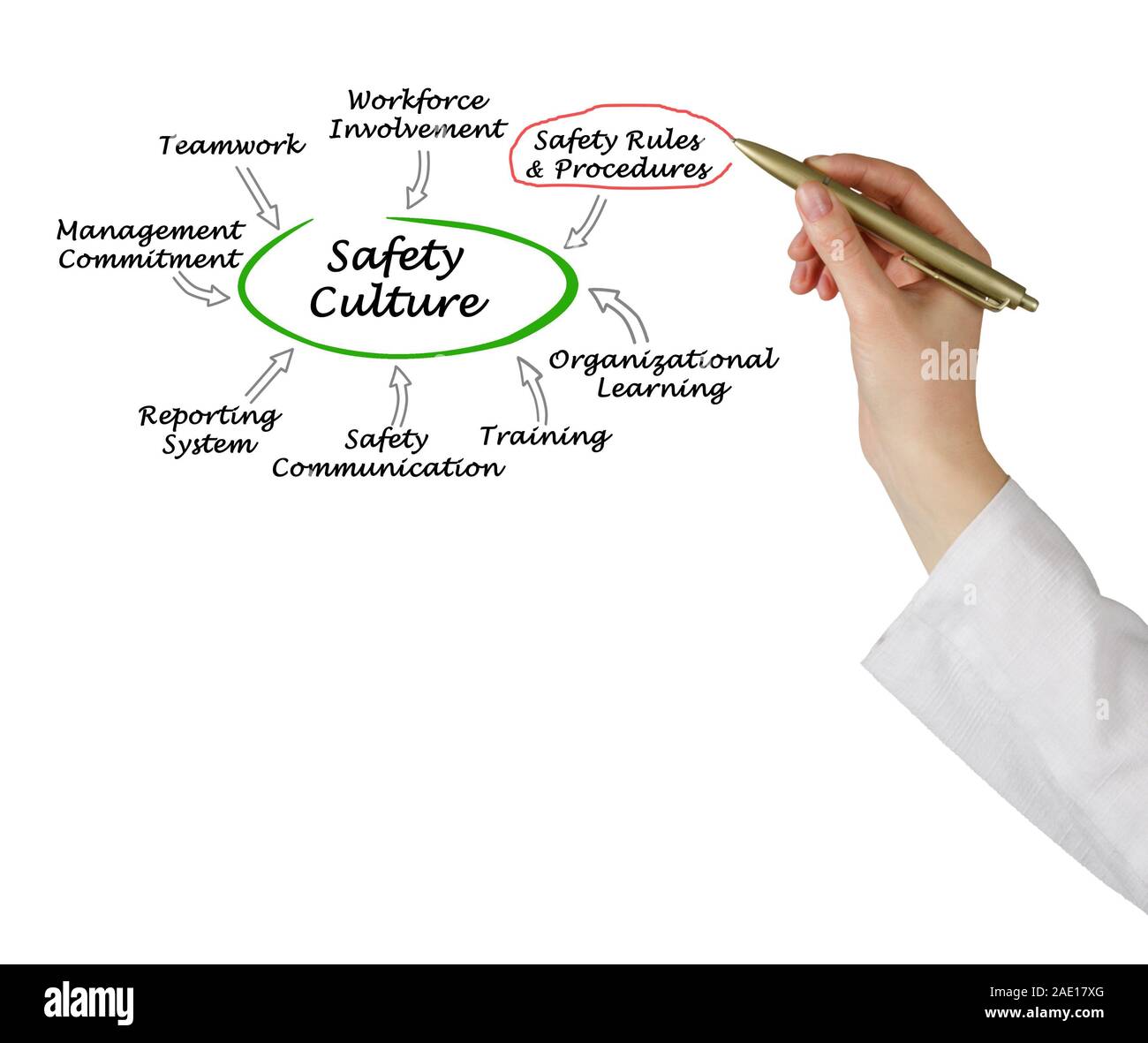 Diagram of Safety Culture Stock Photo - Alamy