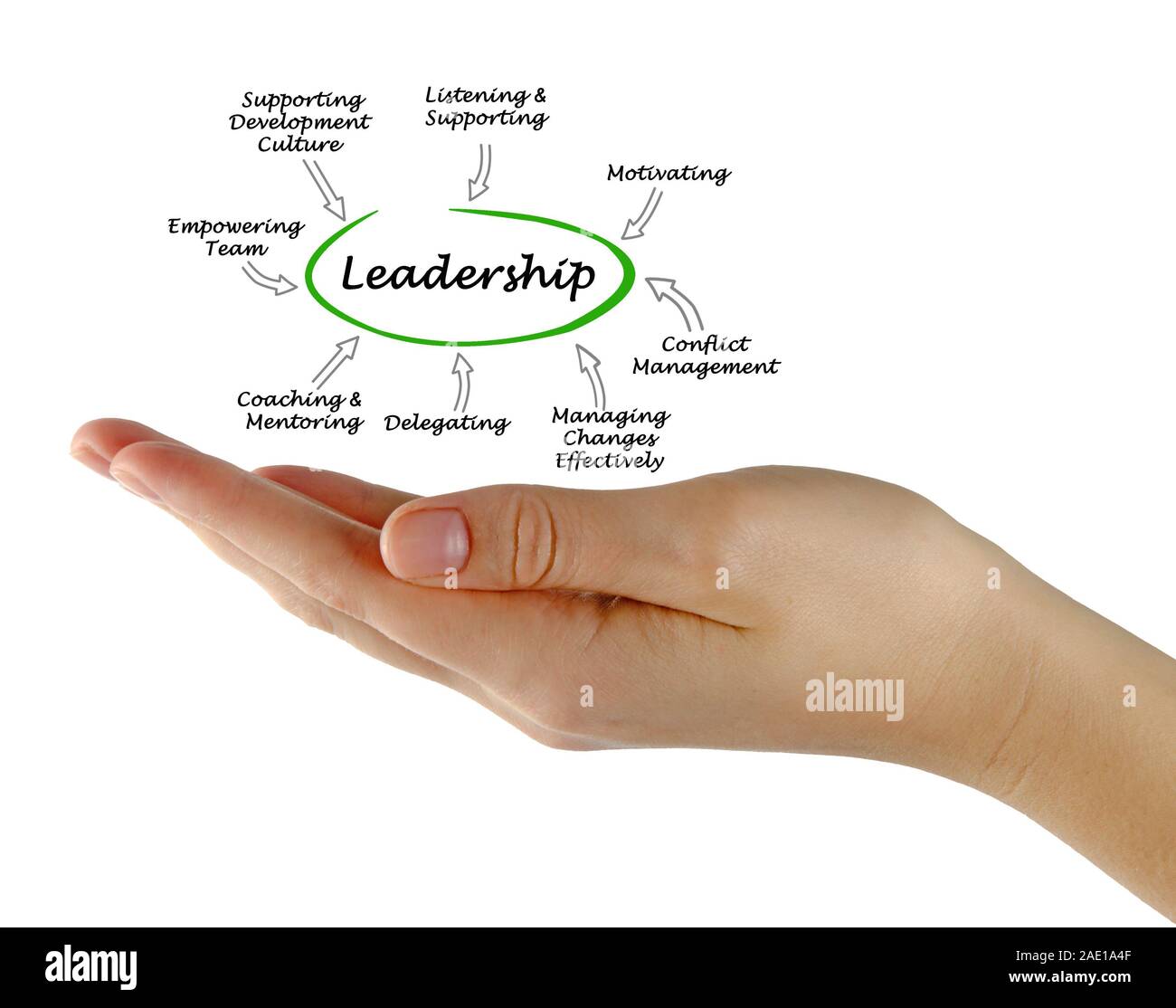 Functions of leadership Stock Photo - Alamy