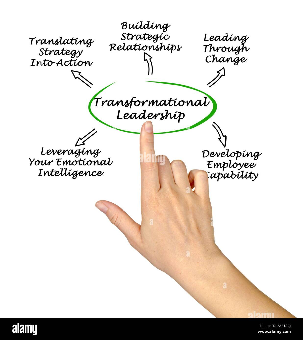 Diagram of Transformational Leadership Stock Photo - Alamy