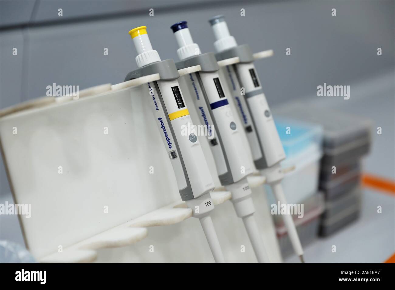 University genetics lab hi-res stock photography and images - Alamy
