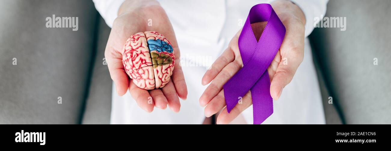 panoramic shot of doctor holding model of brain and purple ribbon Stock ...
