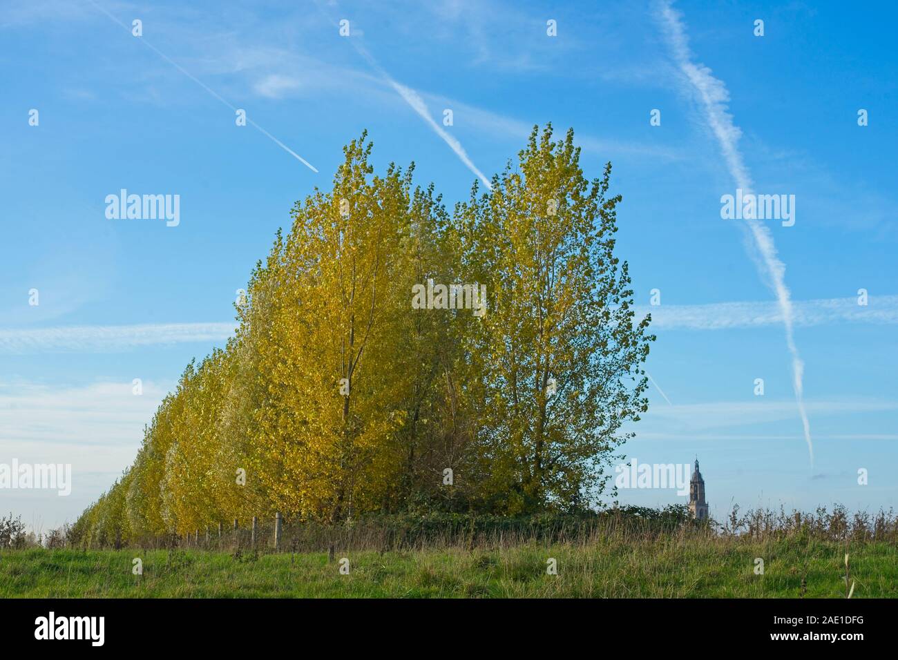 Rhenen historic city in the Netherlands along the river Rhine Stock ...