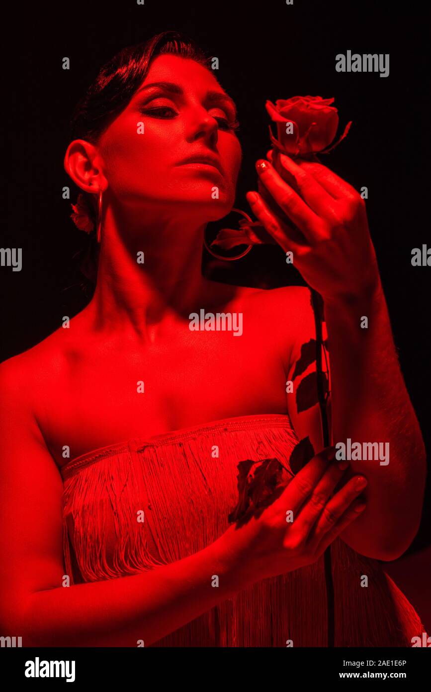 sensual tango dancer holding red rose on dark background with red ...