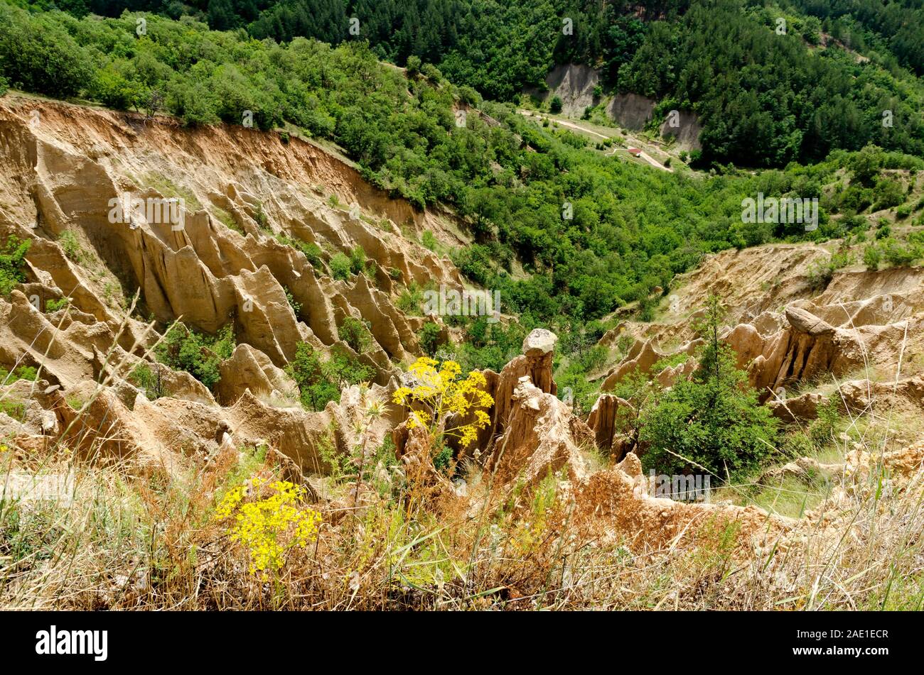 The sandstone pyramids of Stob, Rila mountain Bulgaria Stock Photo - Alamy