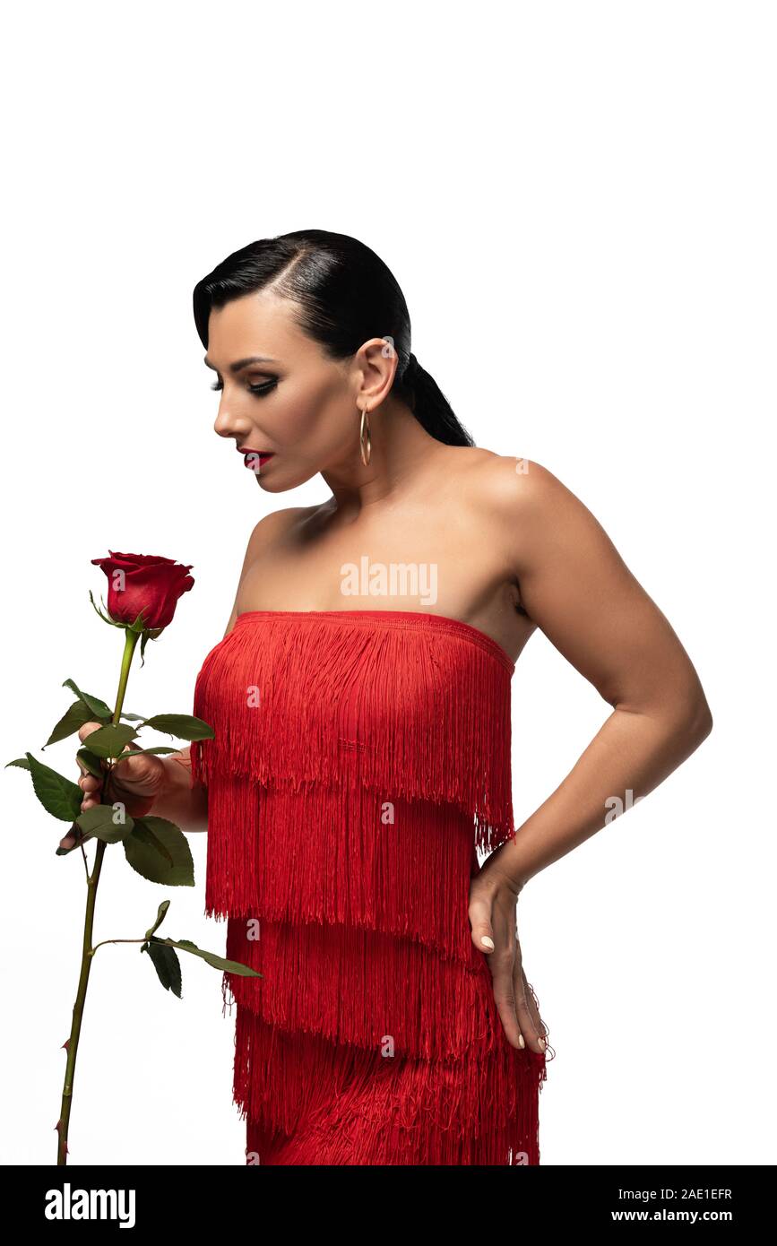 sensual, elegant tango dancer in dress with fringe holding red rose ...