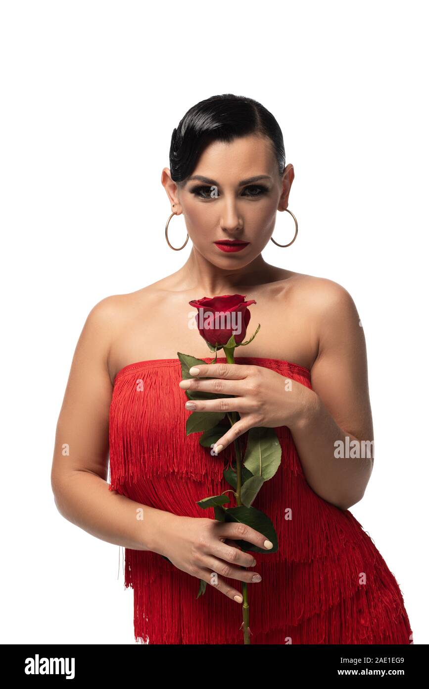 beautiful, sensual tango dancer looking at camera while holding red ...