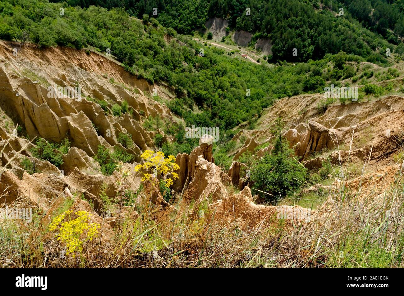The sandstone pyramids of Stob, Rila mountain Bulgaria Stock Photo - Alamy