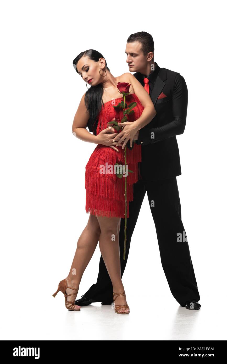 sensual, elegant dancers performing tango while holding red rose on ...