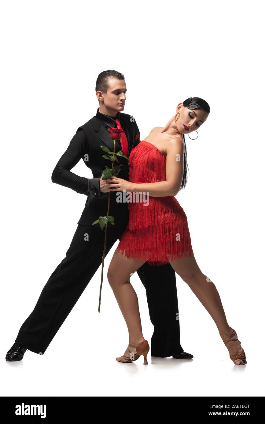 passionate, elegant dancers holding red rose while performing tango on ...