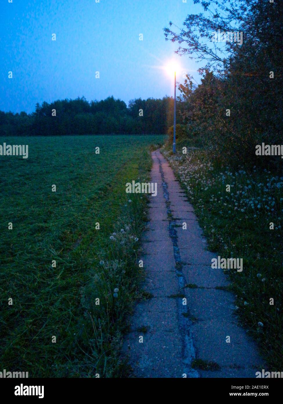 small path between field and forest in twilight with road luminaire ...