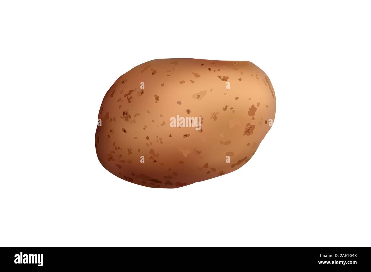 Realistic potato tuber. Vector illustration. Vegetarian farming food ...