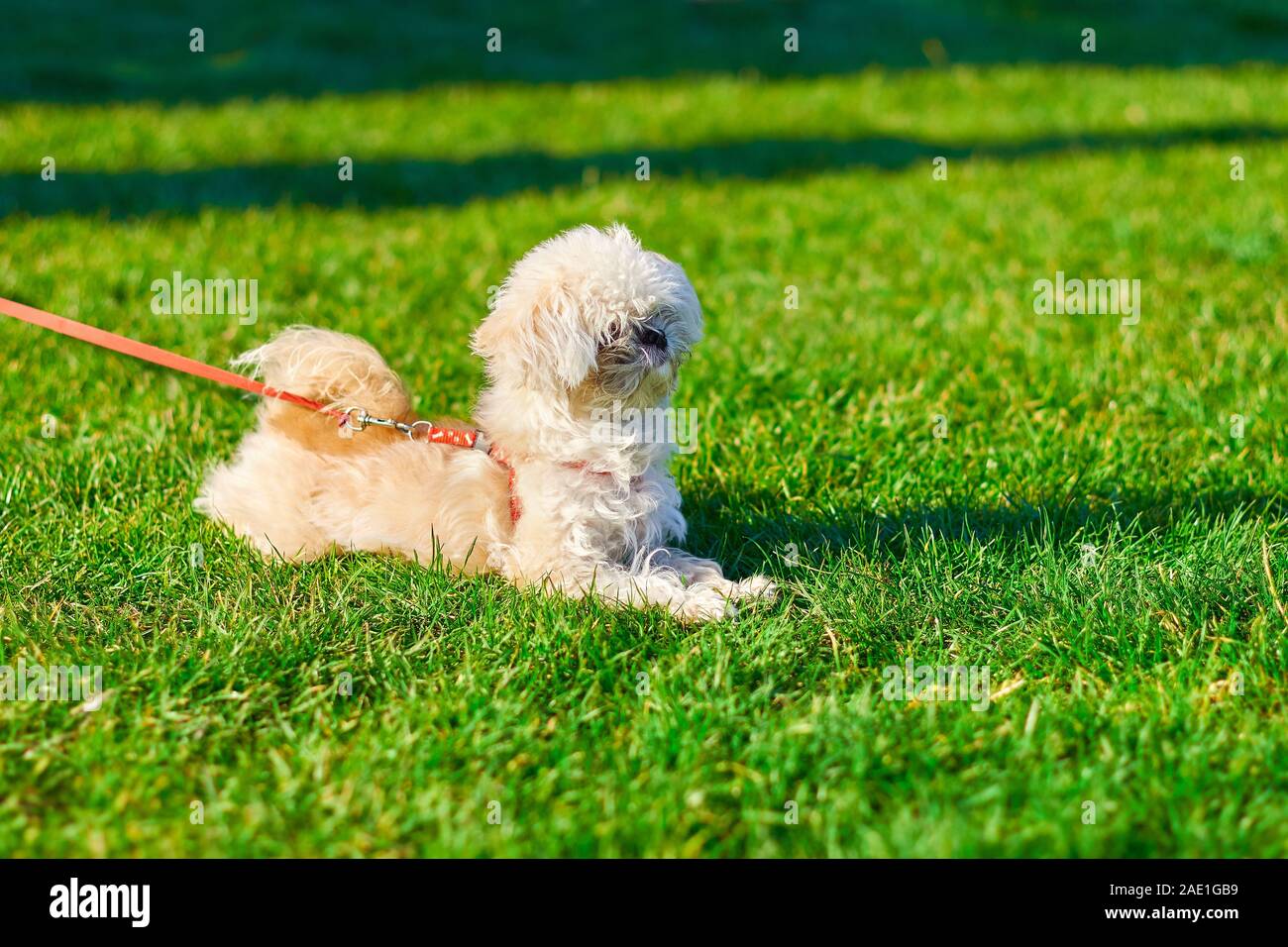 Beautiful Female Frieze High Resolution Stock Photography and Images ...