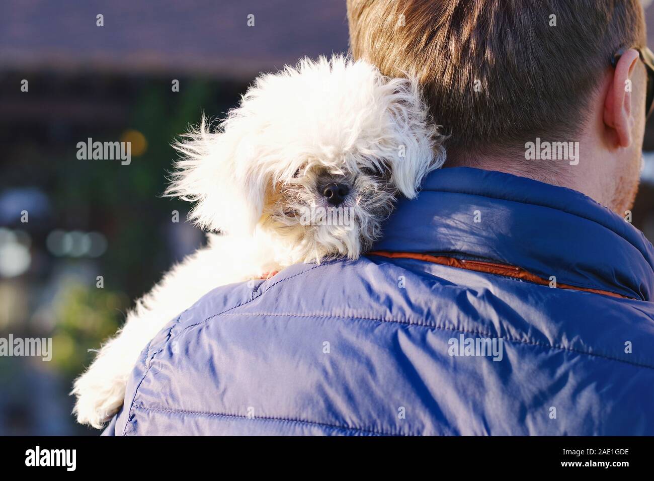 close-up part of a control panel, air compressor isolated on a white ...