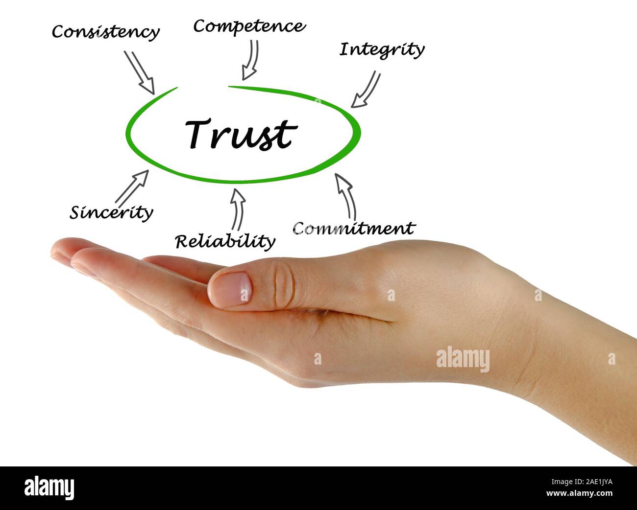 Diagram of trust Stock Photo - Alamy