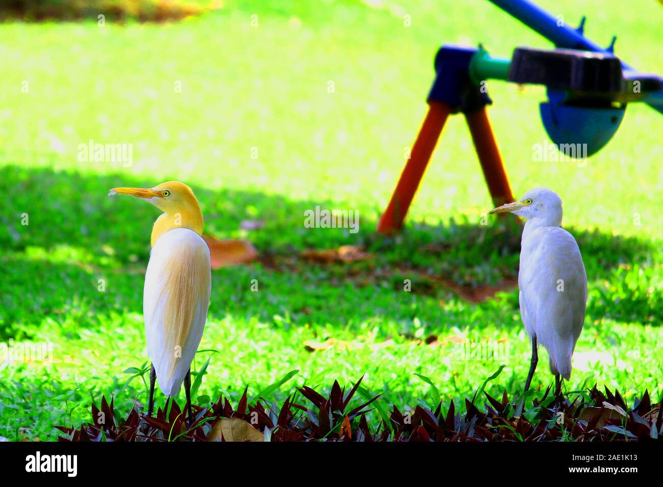 Walking in same direction hi-res stock photography and images - Alamy