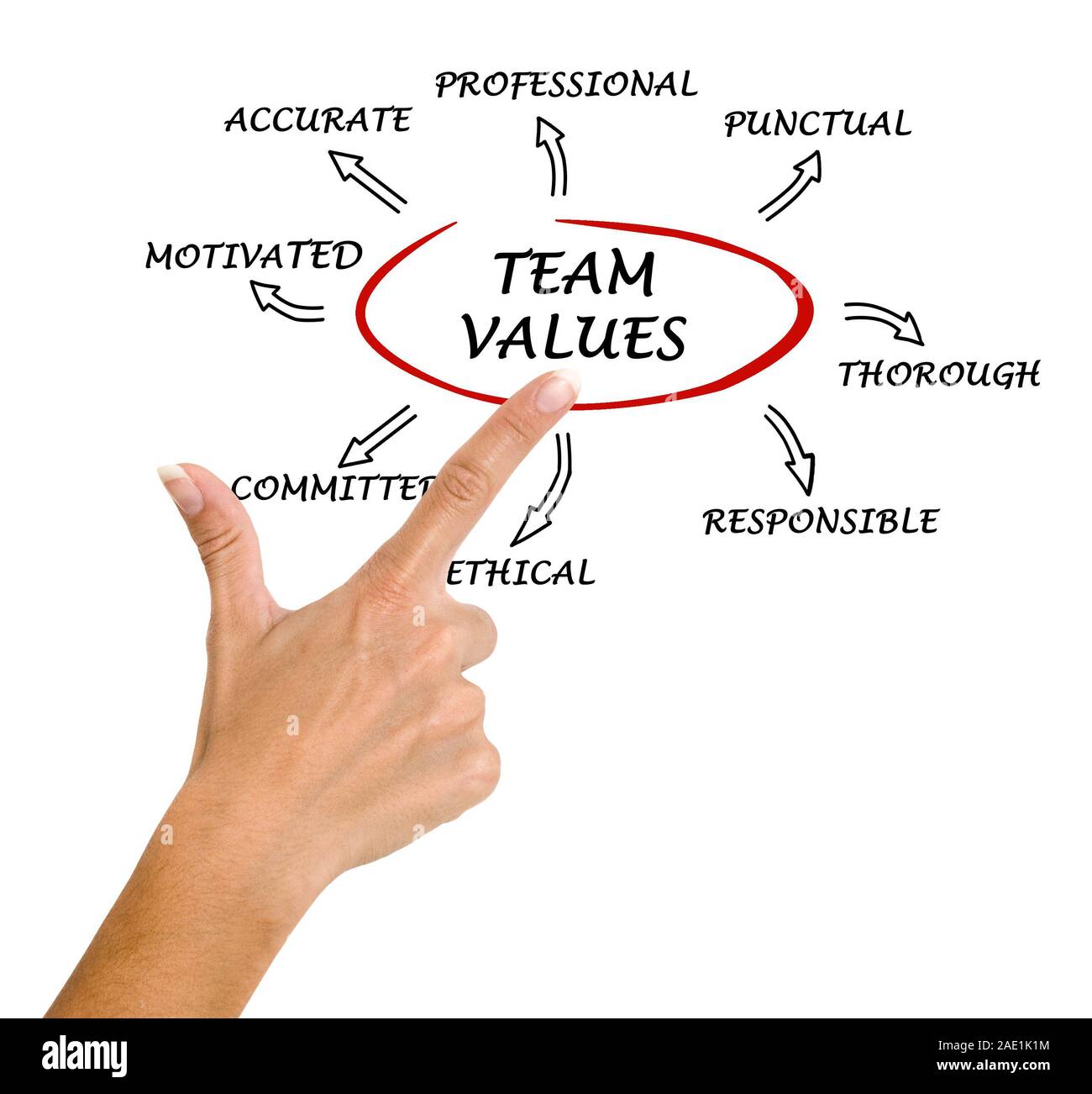 team values and norms Stock Photo - Alamy