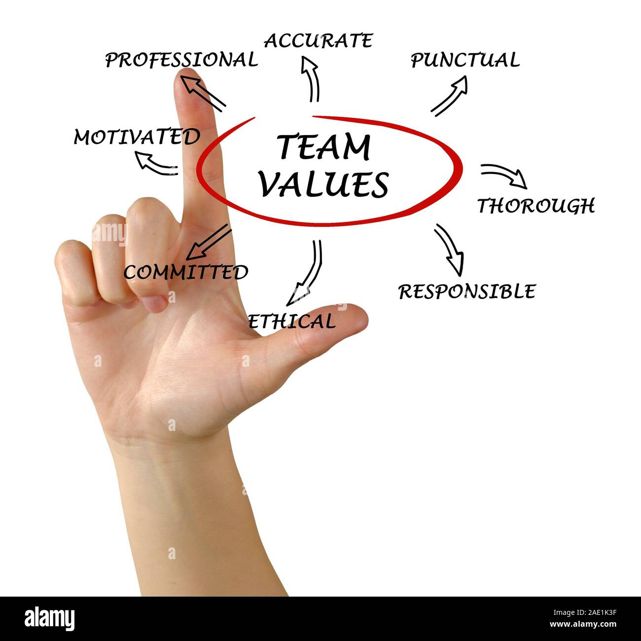 team values and norms Stock Photo - Alamy