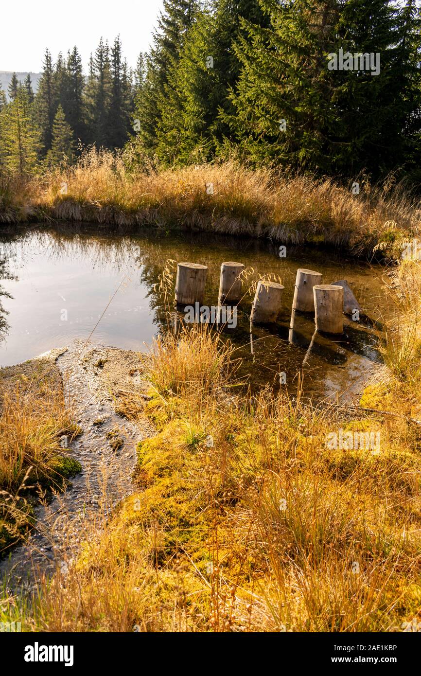 Colorful autumn landscape in the mountain Stock Photo - Alamy