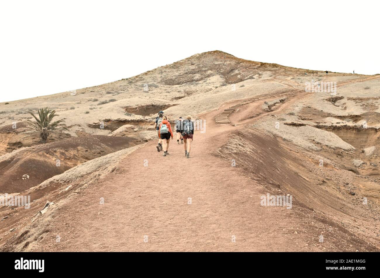 A group of hikers walking along a desert pathway with volcanic rocks ...