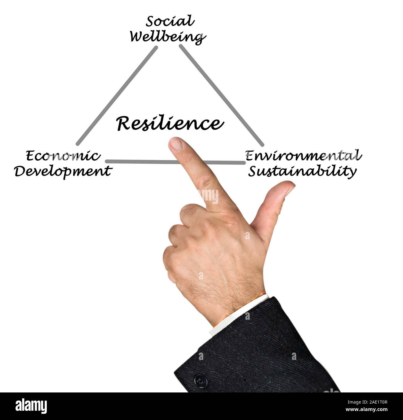 Diagram of resilience Stock Photo - Alamy