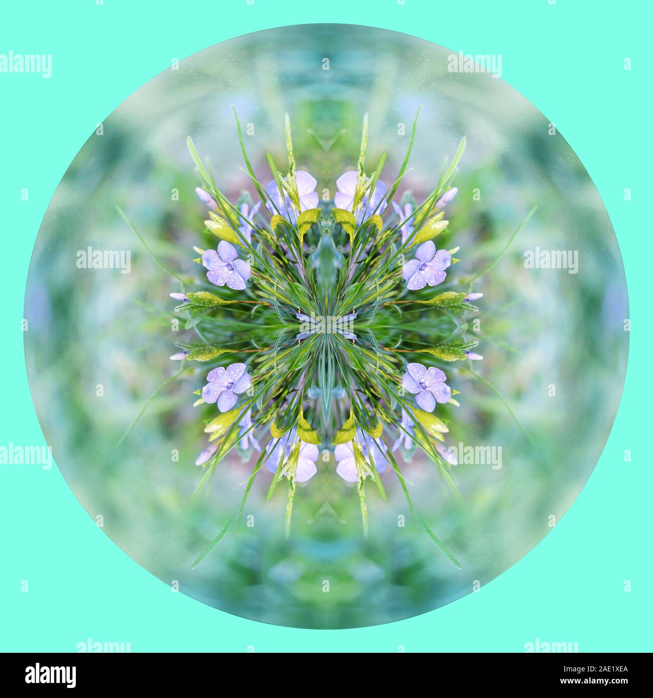 Planet with spring flowers, on an aquamarine background Stock Photo - Alamy