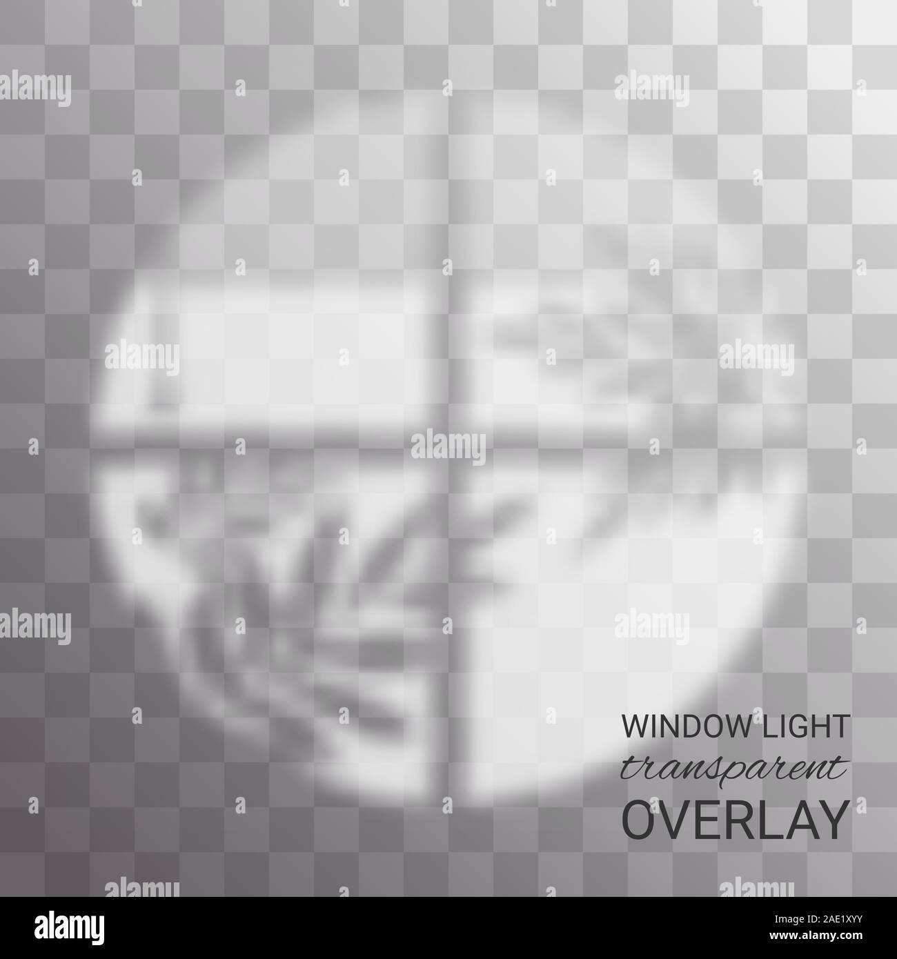 Shadow overlay effect of round window frame and monstera leaf ...