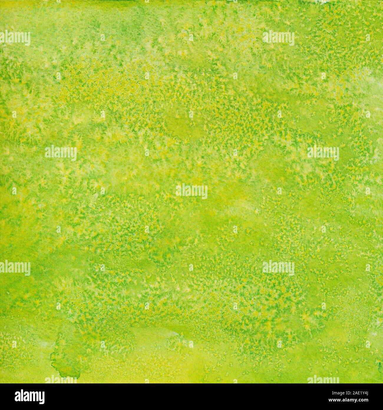 Green paper background Stock Photo - Alamy